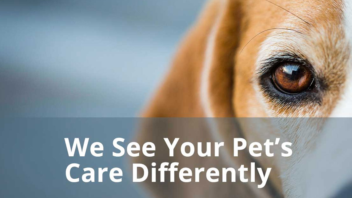Veterinary Hospital Services Erie, Boulder & Lafayette, CO